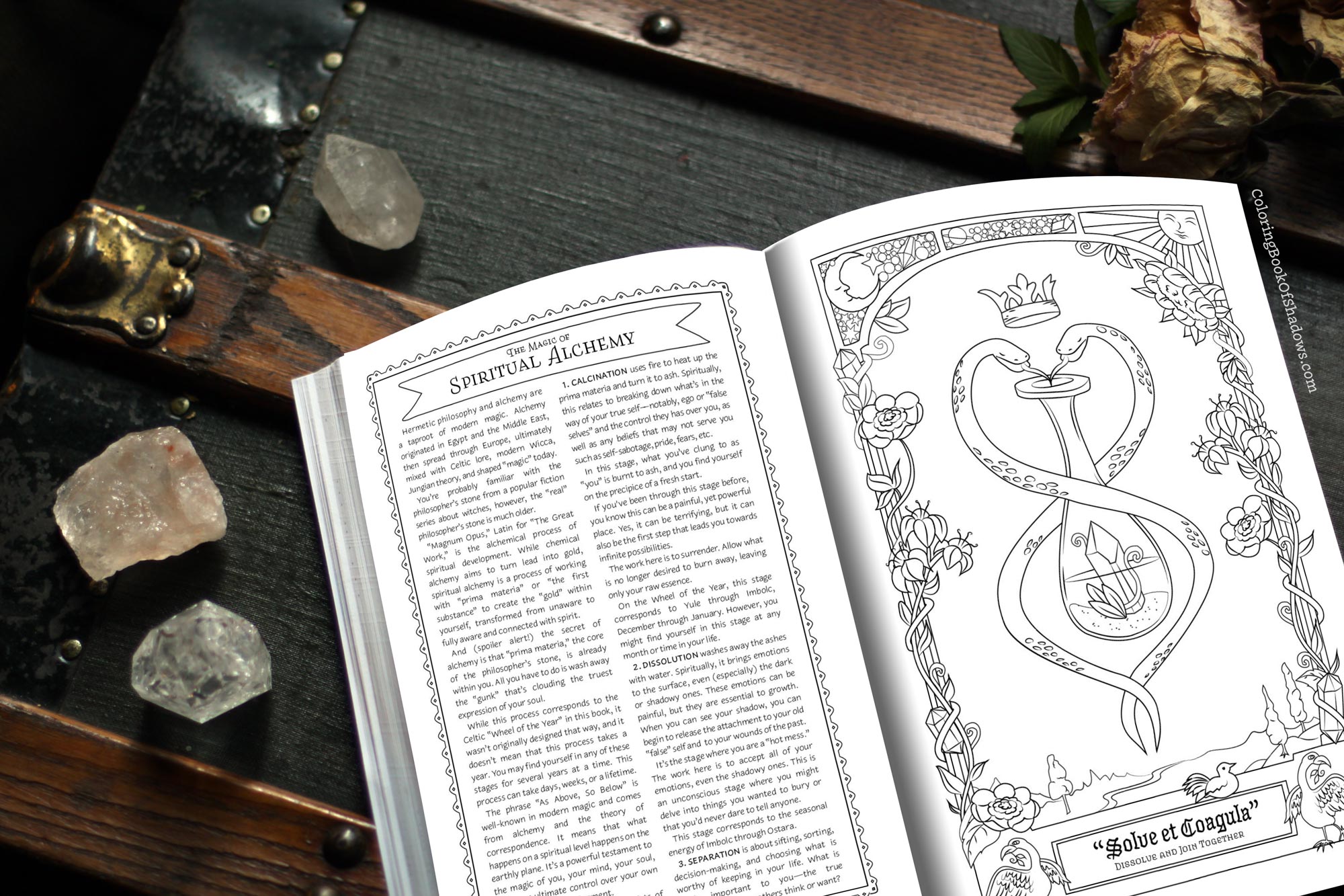 Coloring Book of Shadows Planner for a Magical 2021 - Coloring Book of ...