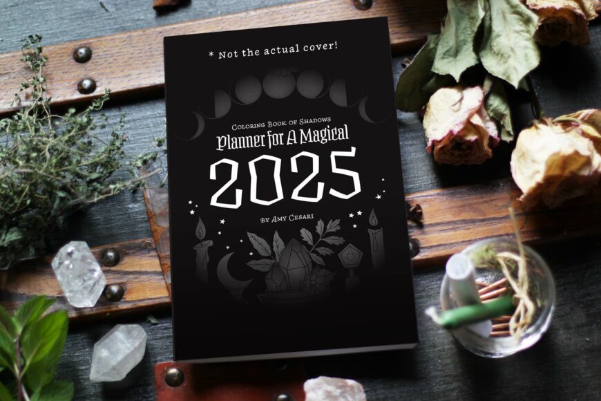 Planner for a Magical 2025 Announcement - Coloring Book of Shadows