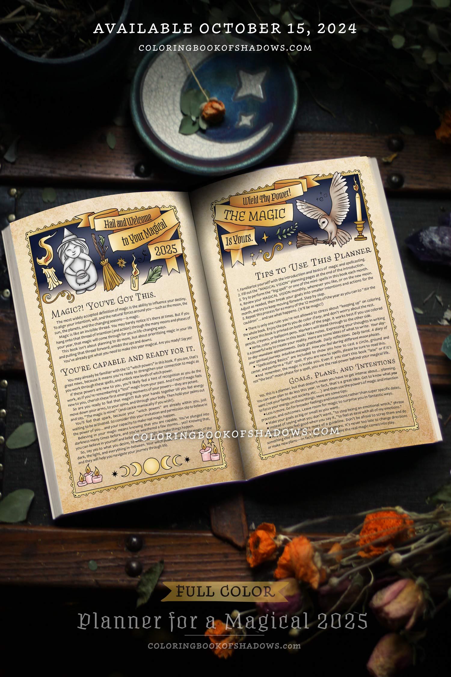 2025-COLOR-Preview5-1 - Coloring Book of Shadows